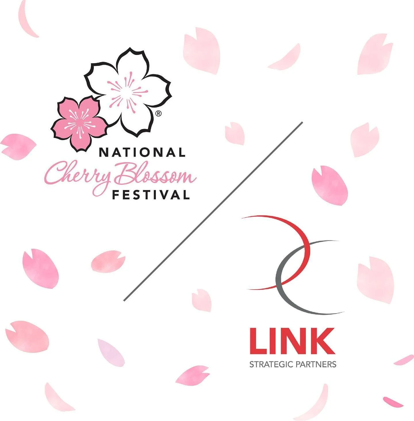 LINK Strategic Partners