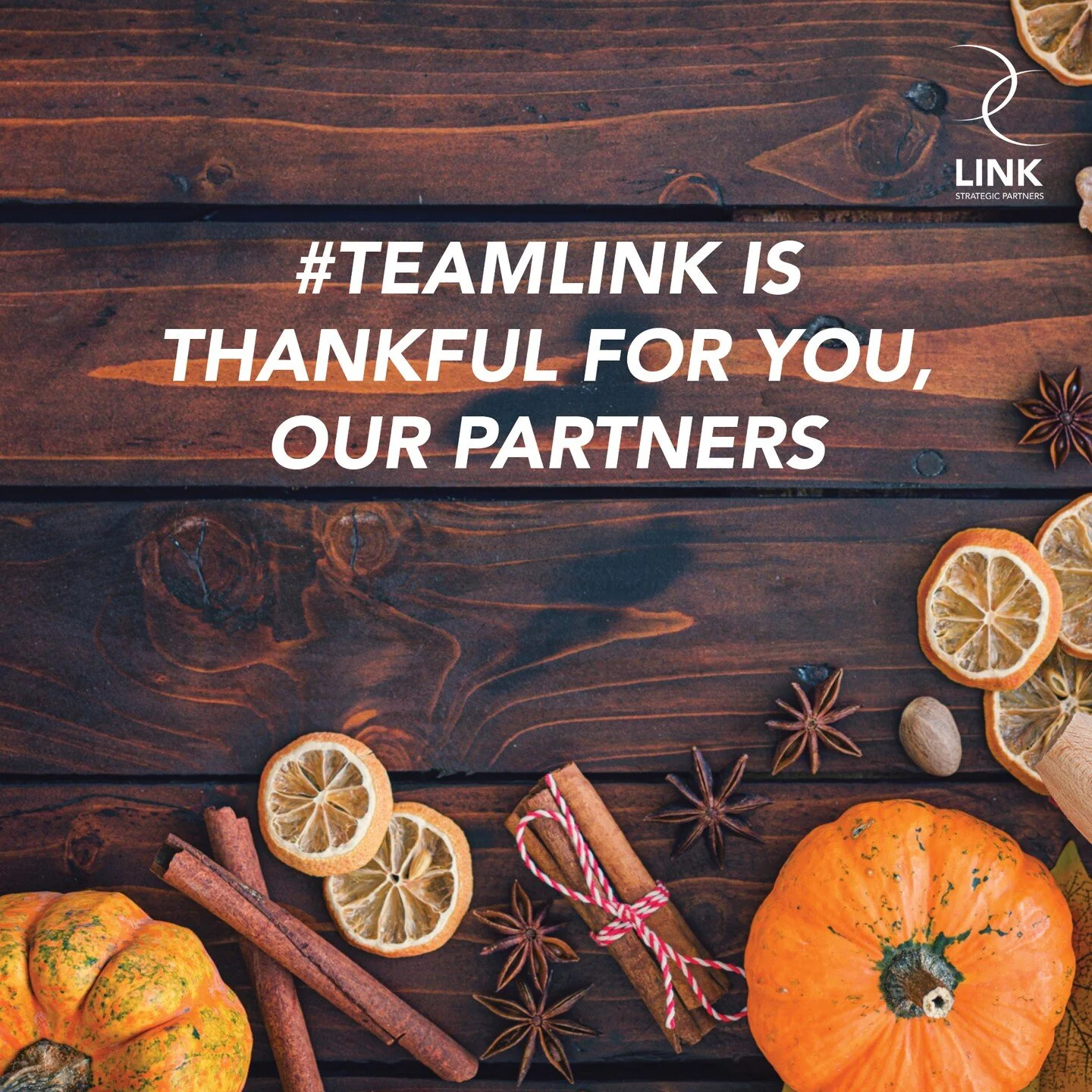 LINK Strategic Partners