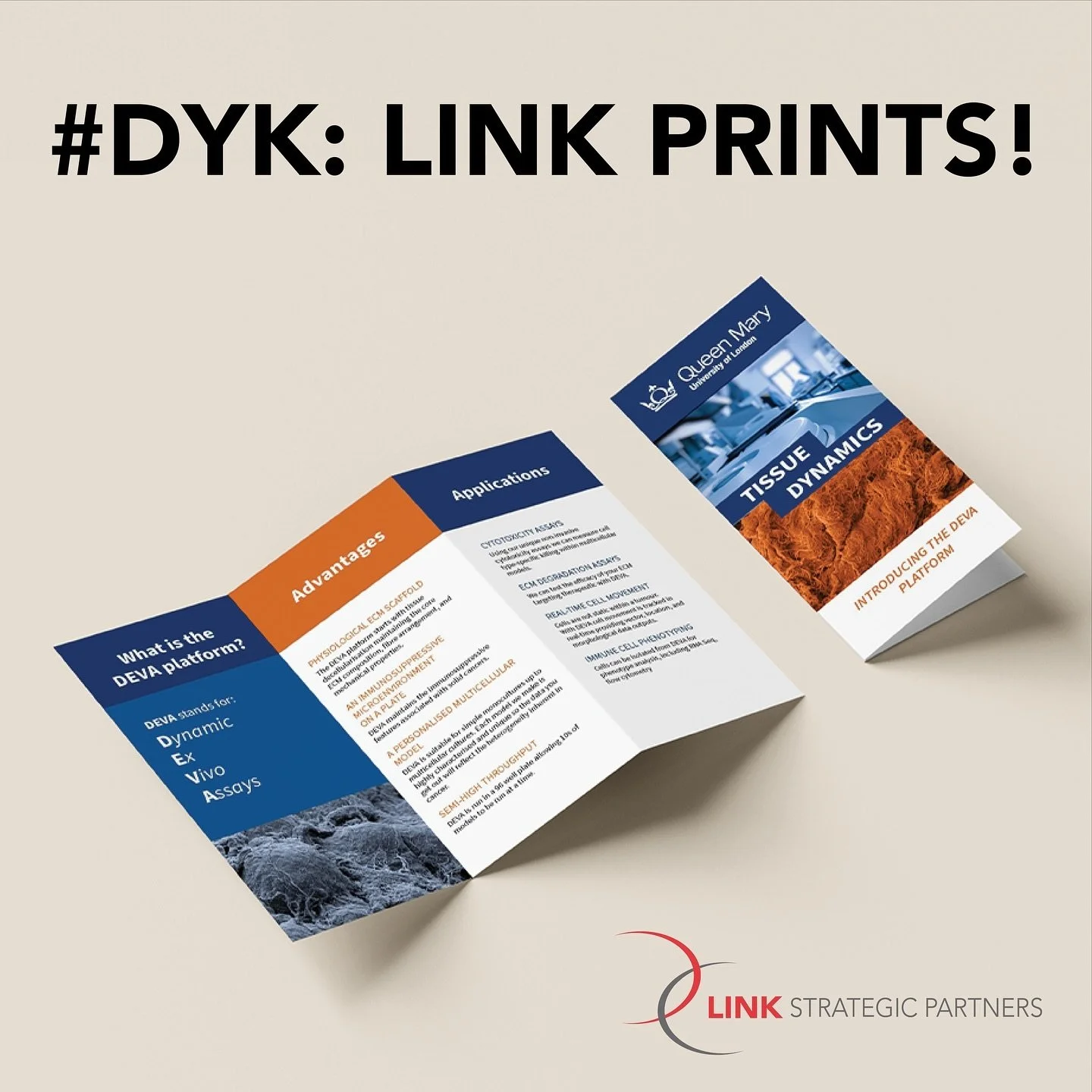 LINK Strategic Partners