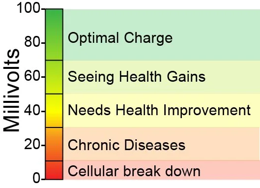 Energy Enhancement System - Embassy of Life Mastery