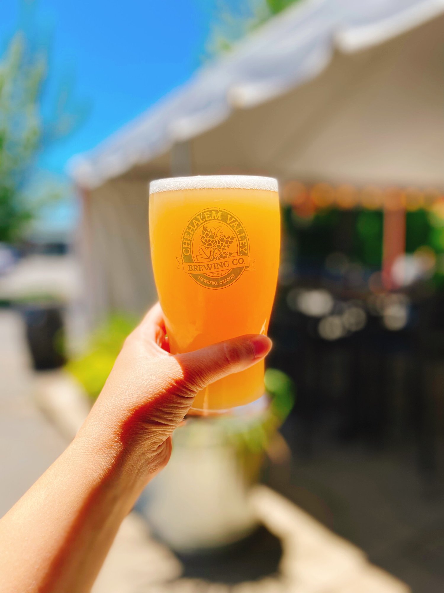 Chehalem Valley Brewery and Pub