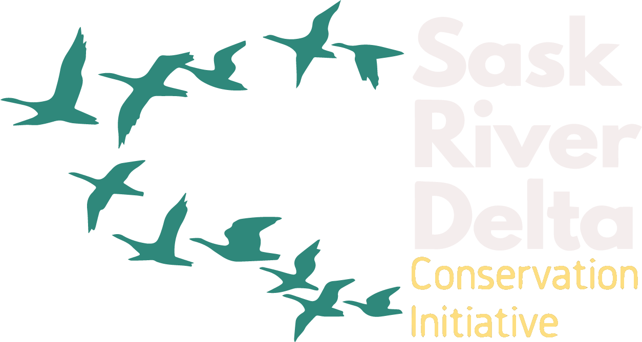 Geography and Ecology — Saskatchewan River Delta