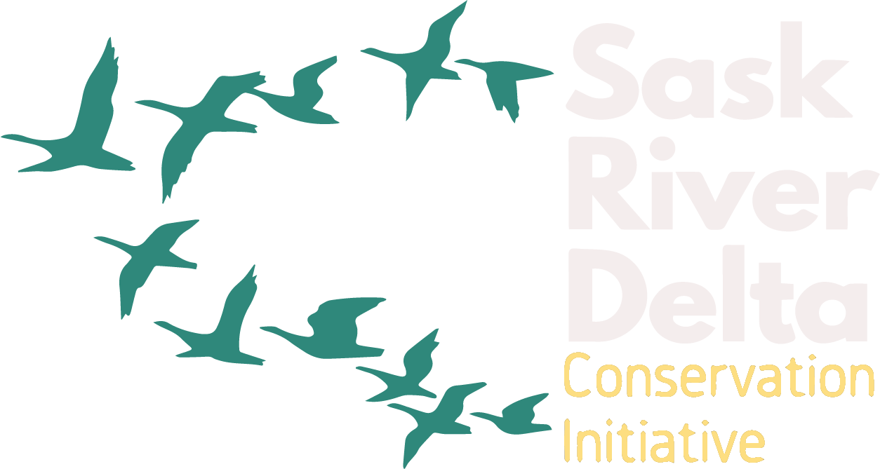 Geography and Ecology — Saskatchewan River Delta