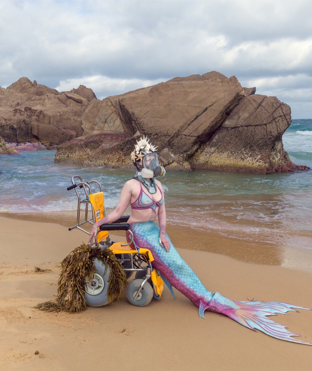 Part of the More-than-human World with Hanna Cormick — DICARP