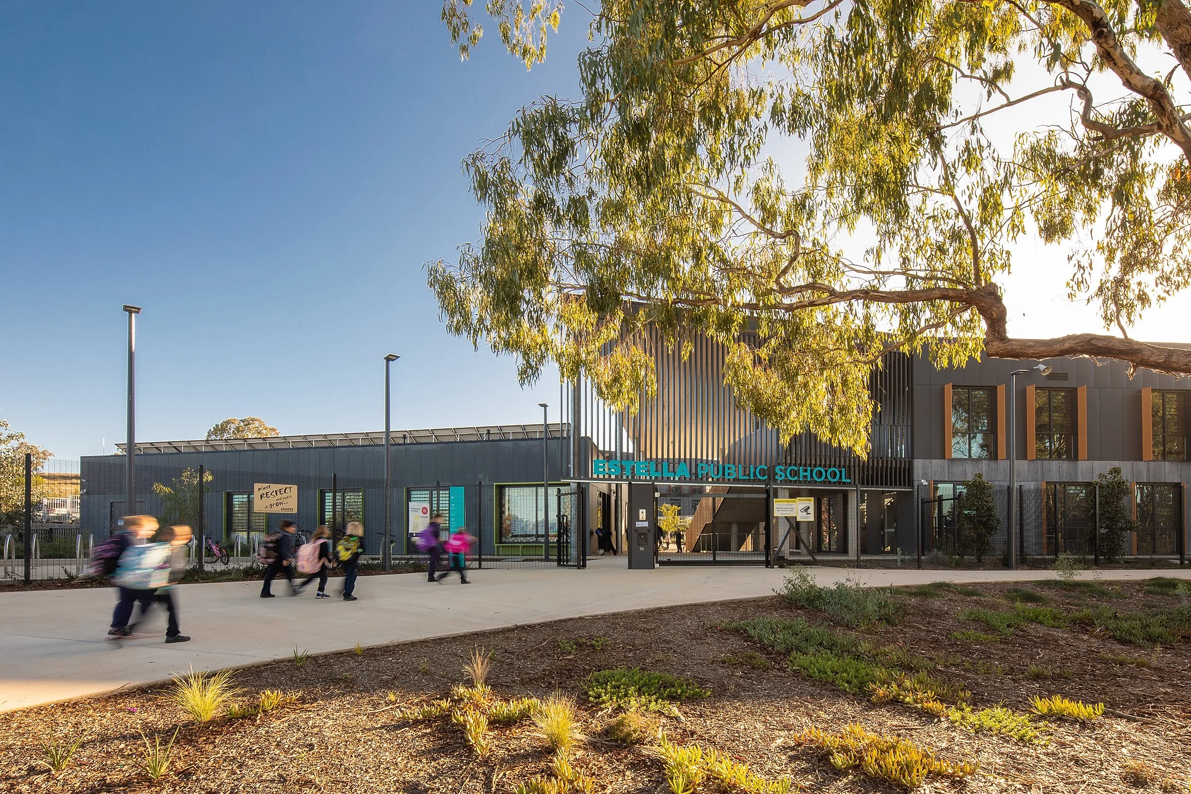 Education — Pedavoli Architects