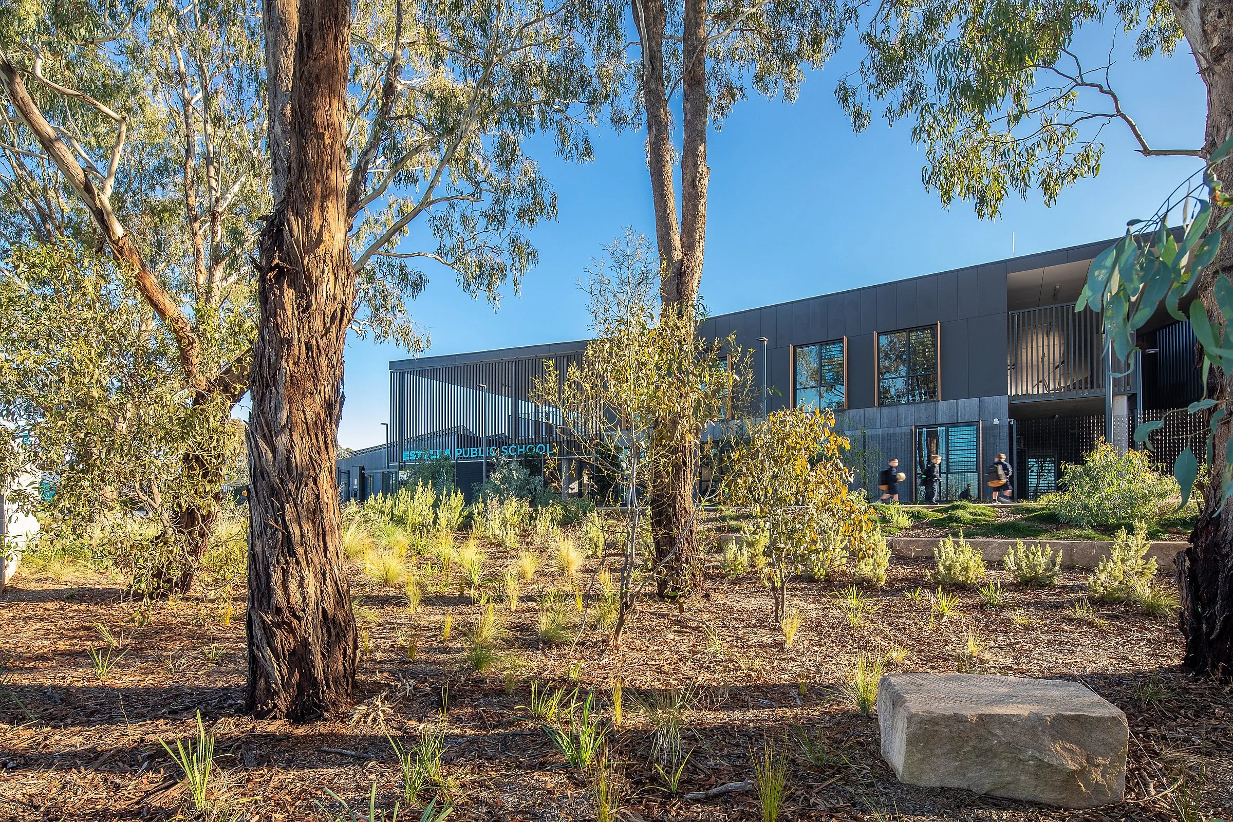 Estella Public School — Pedavoli Architects
