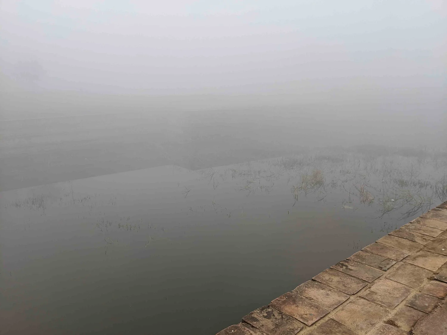 Vesali (Vaishali) — Buddhist Journal