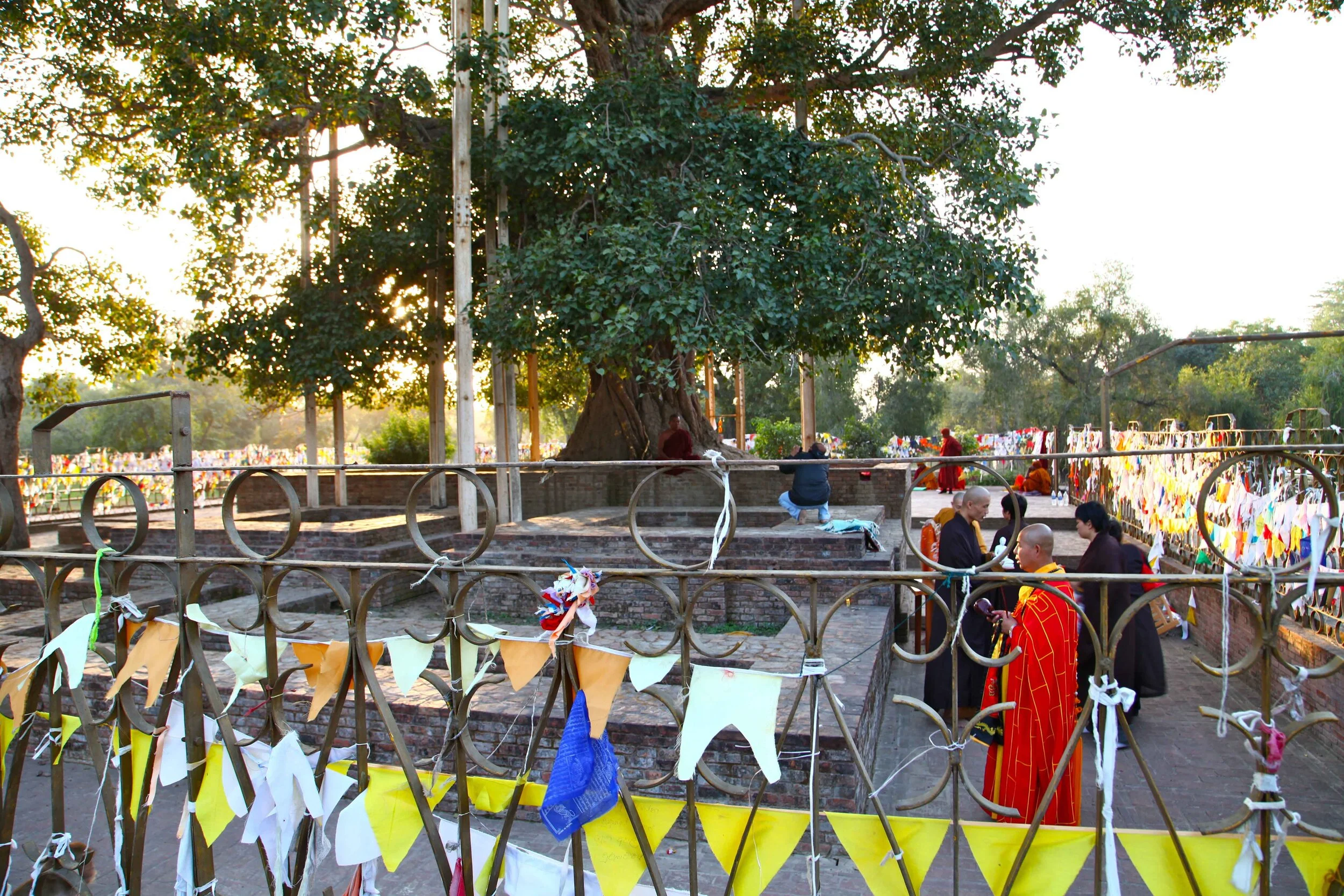 Savatthi (Sravasti, Shravasti) — Buddhist Journal