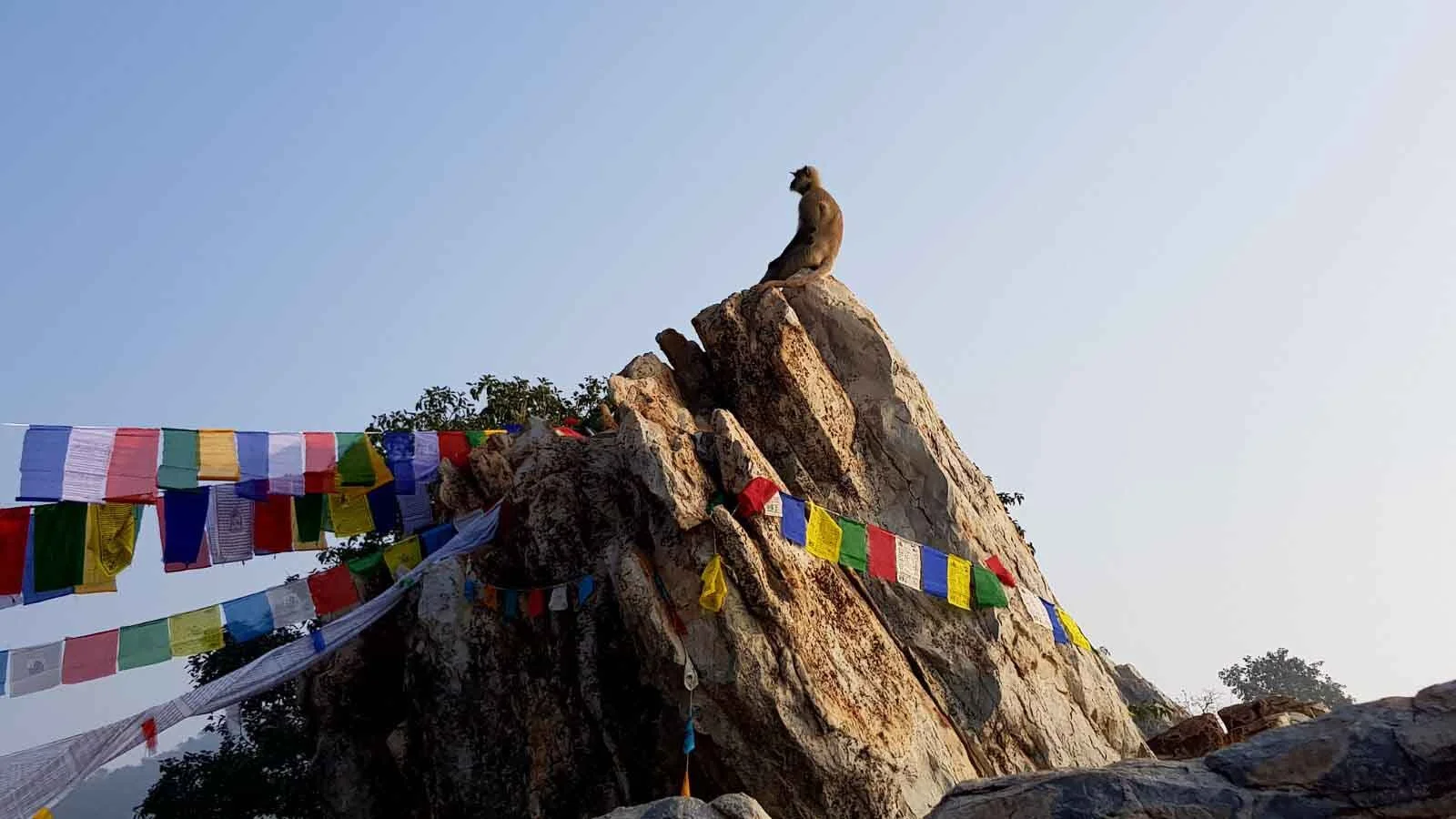 Rajagaha (Rajgir) — Buddhist Journal