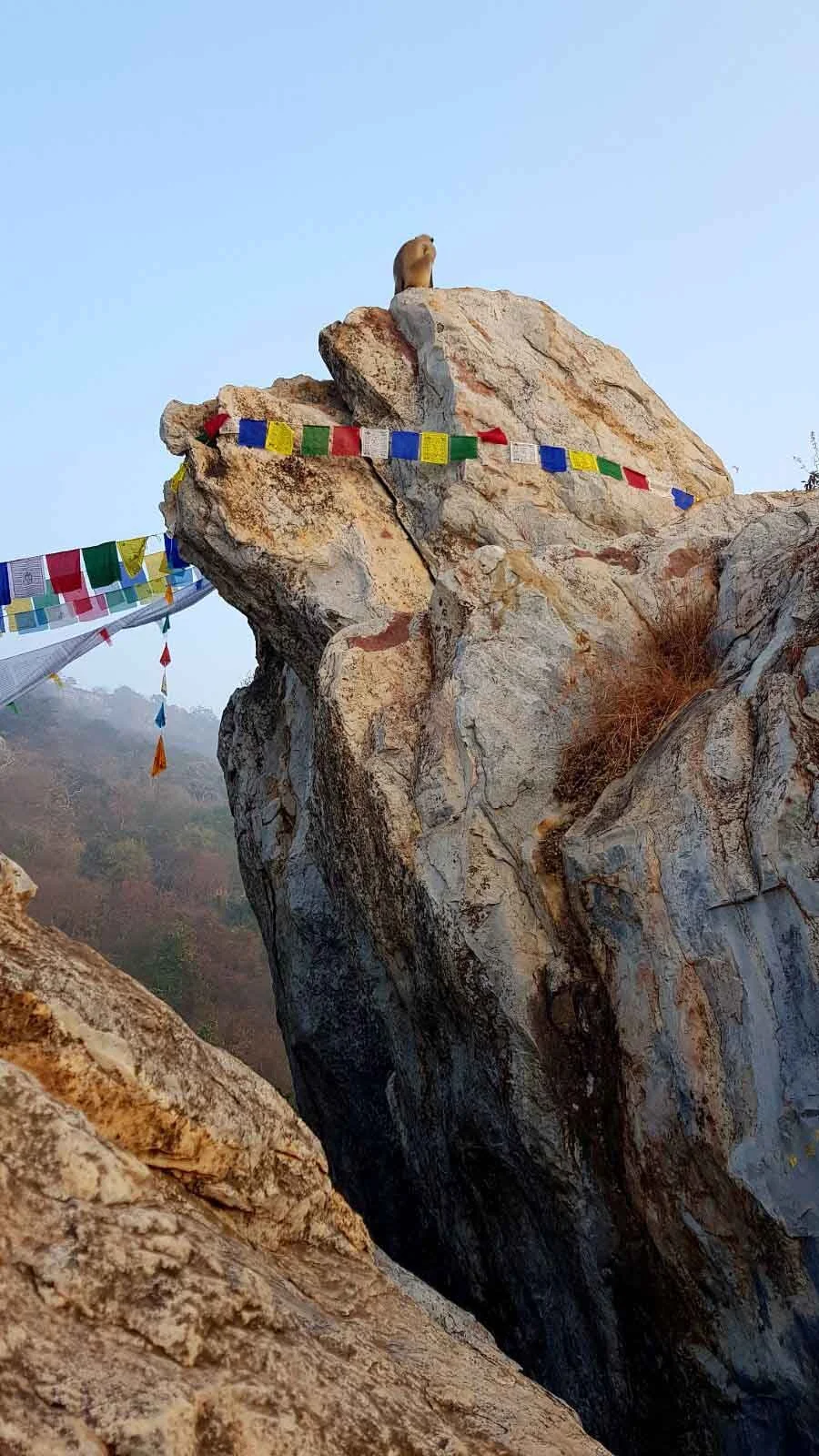 Rajagaha (Rajgir) — Buddhist Journal