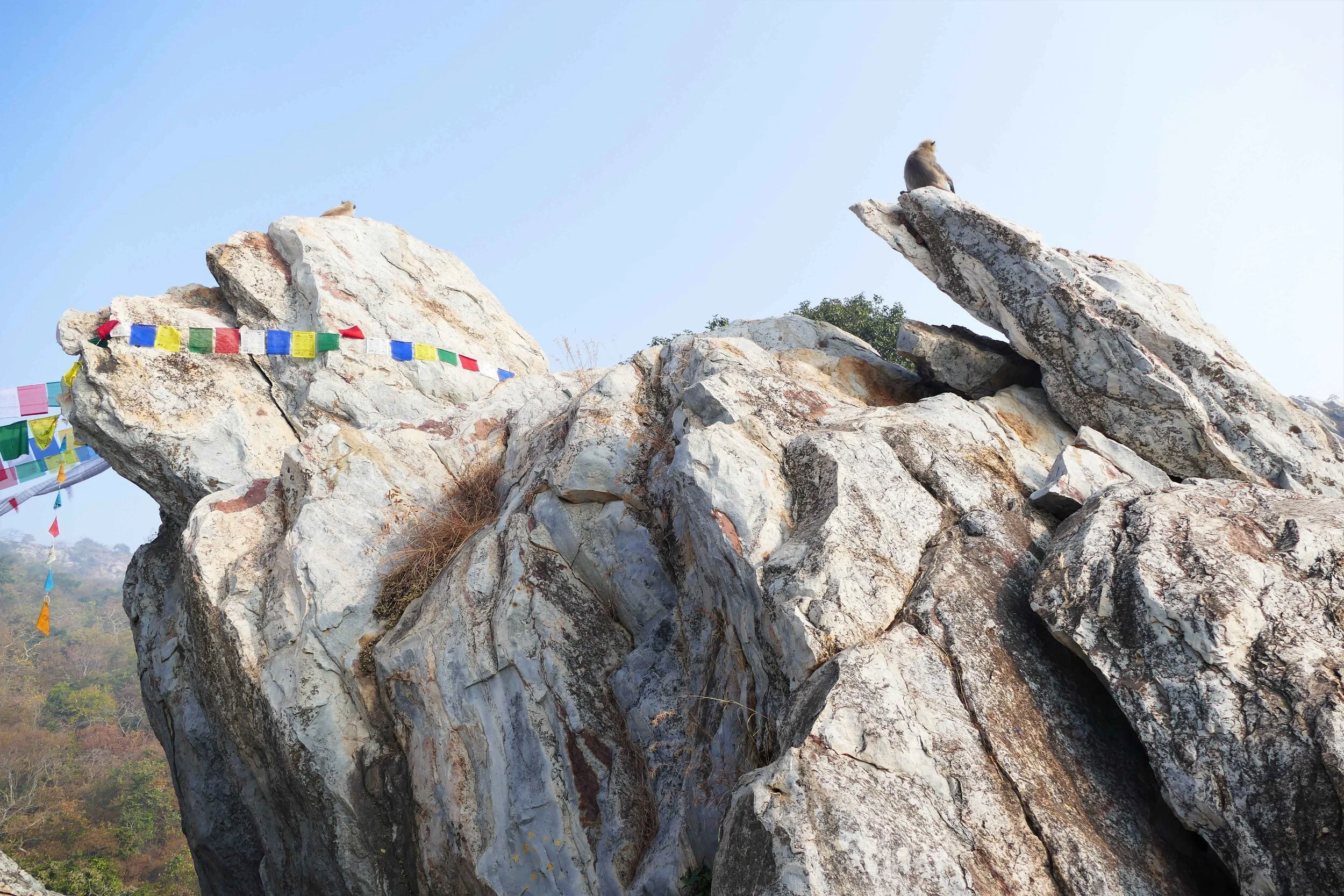 Rajagaha (Rajgir) — Buddhist Journal