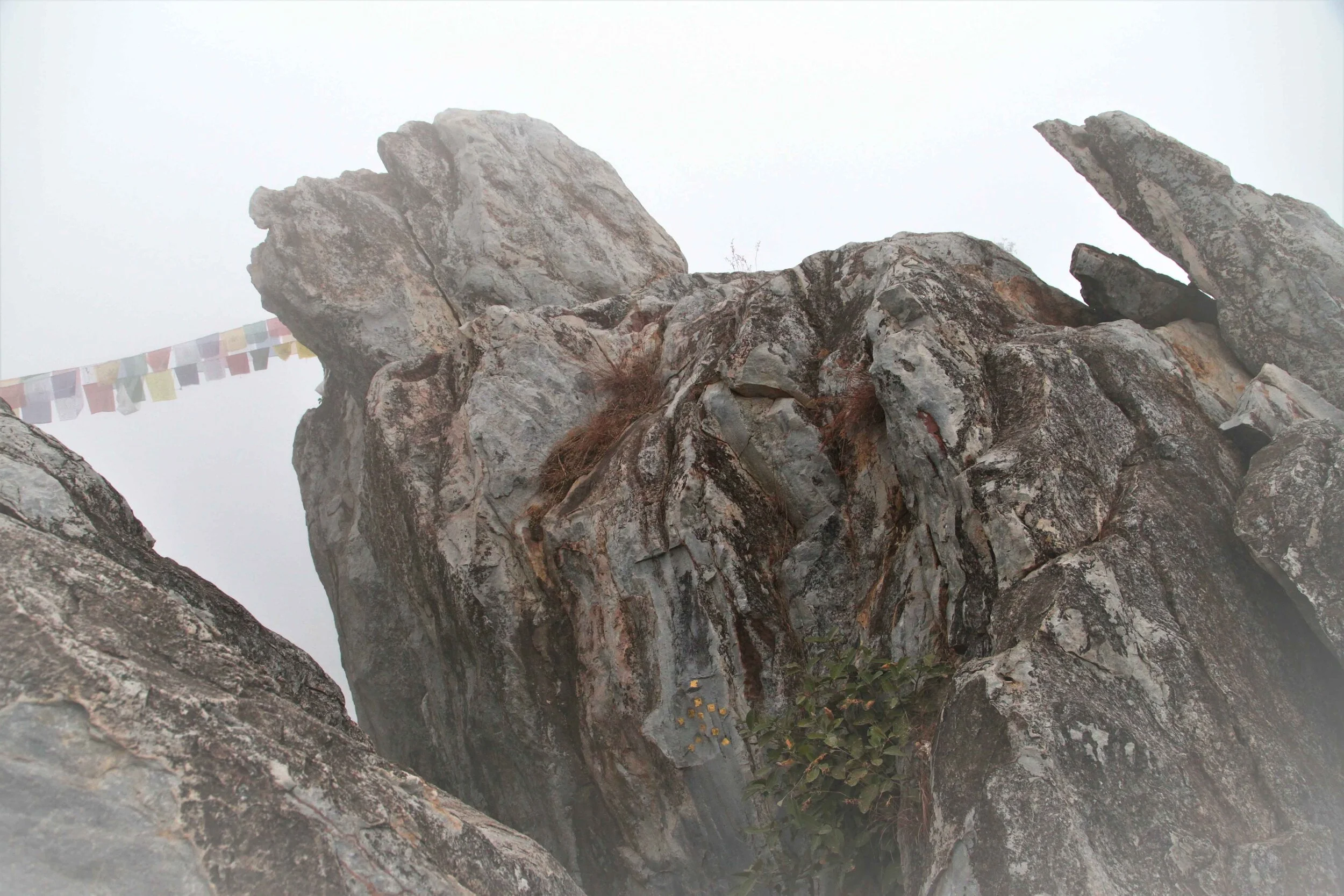 Rajagaha (Rajgir) — Buddhist Journal