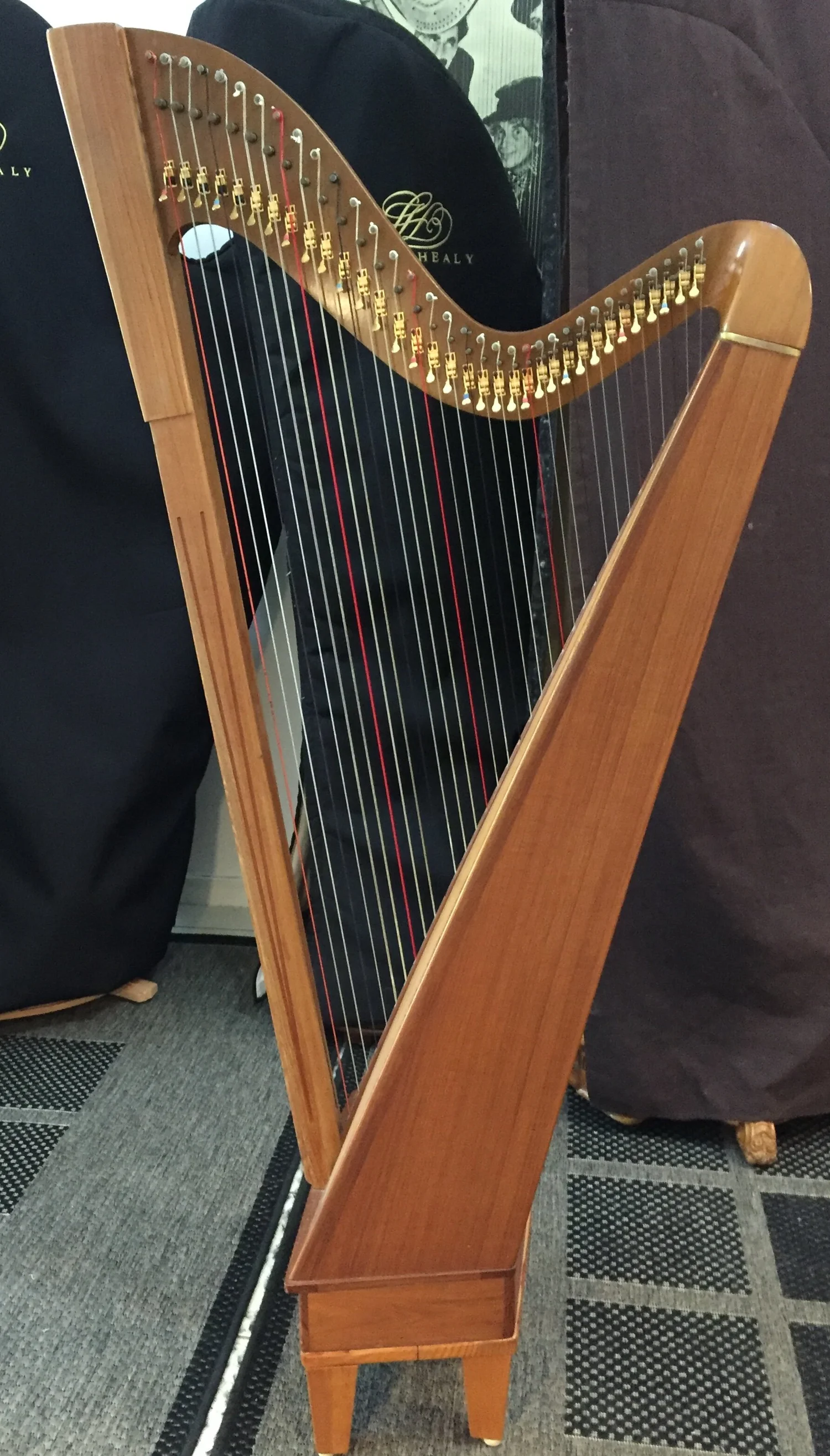 Lessons — Sydney Harp School