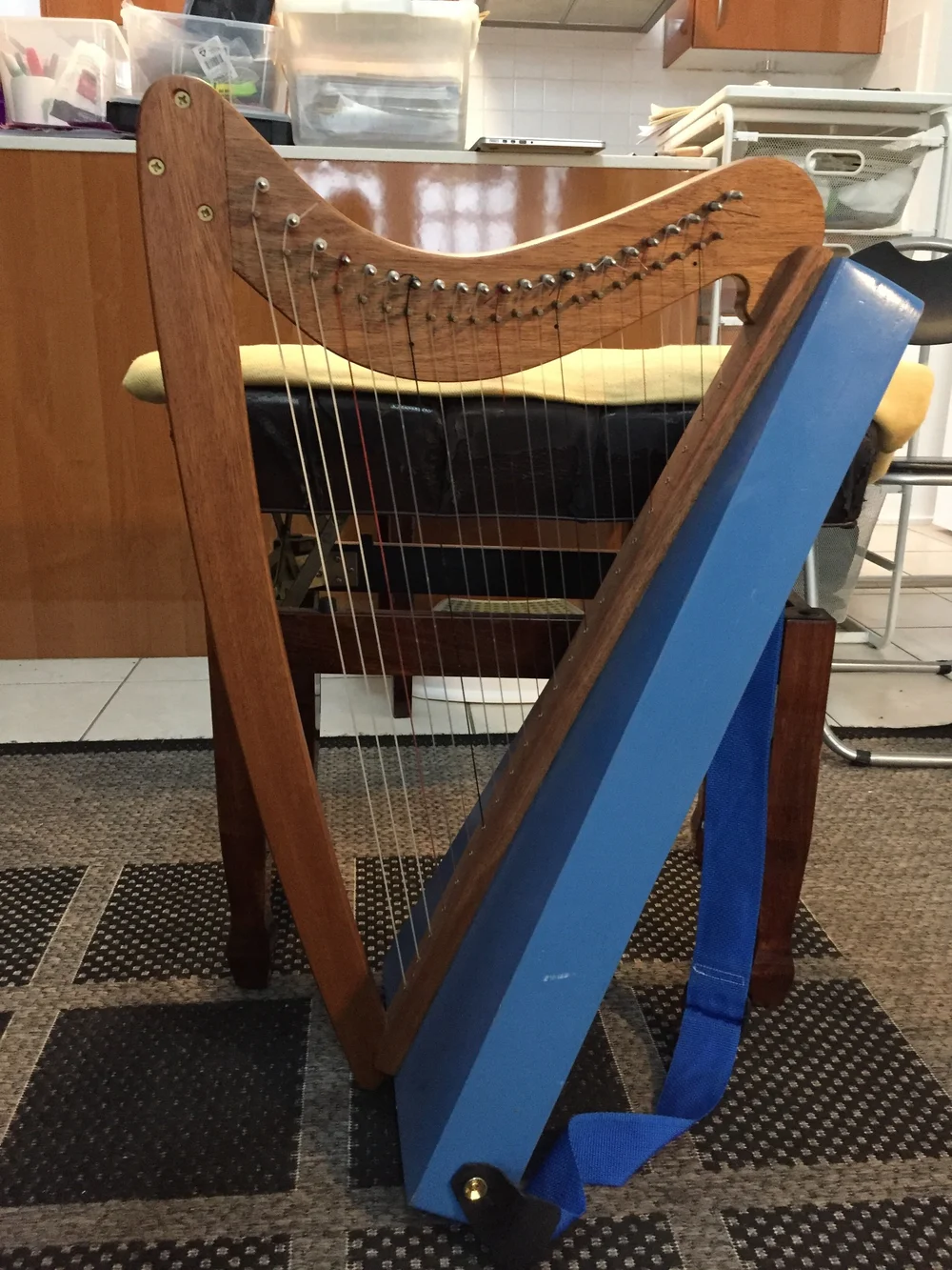 Lessons — Sydney Harp School