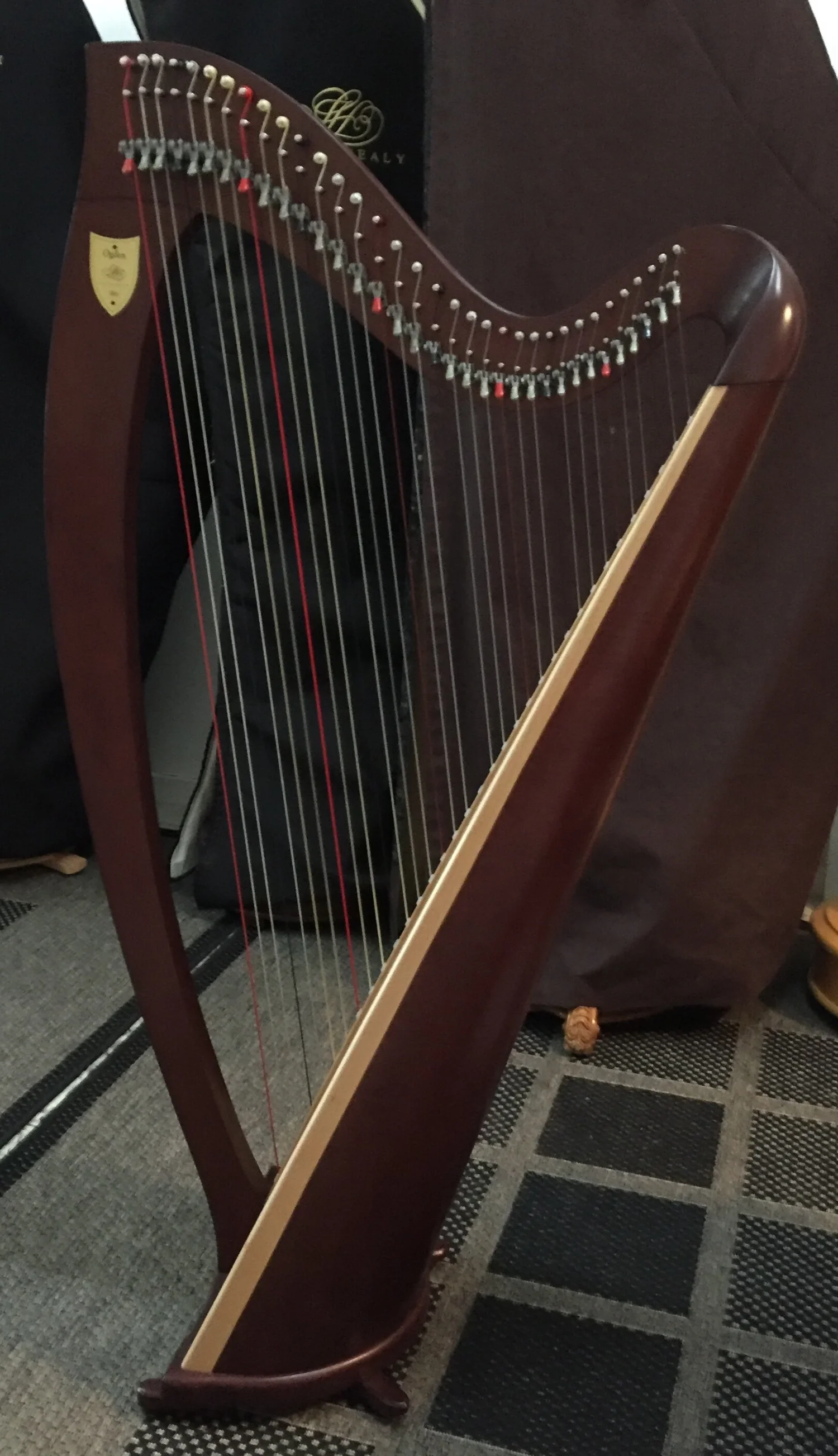 Lessons — Sydney Harp School