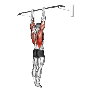 Exercise-Based Rehabilitation & Strength Training | Poseidon ...