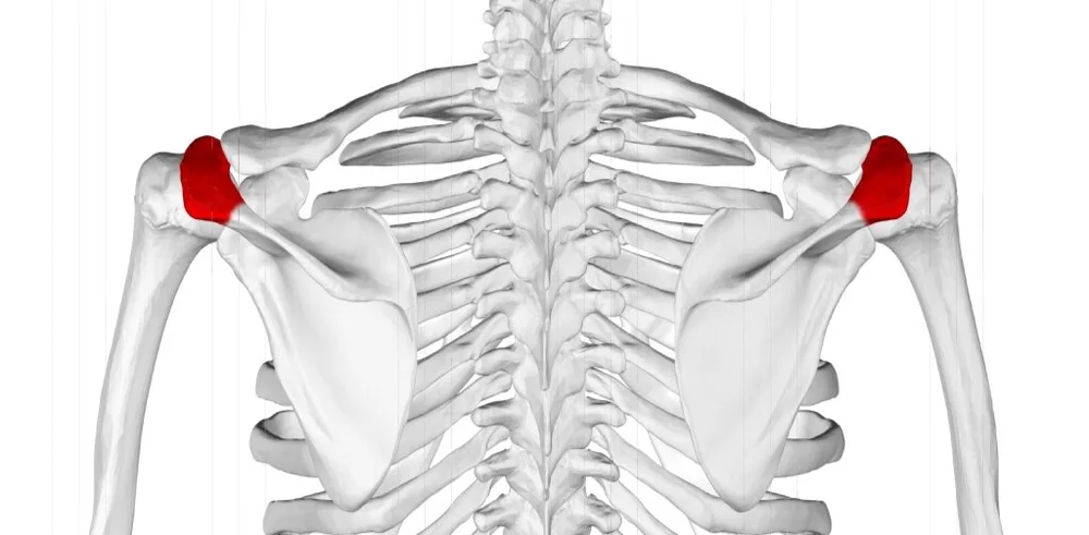 Exercise-Based Rehabilitation & Strength Training | Poseidon ...