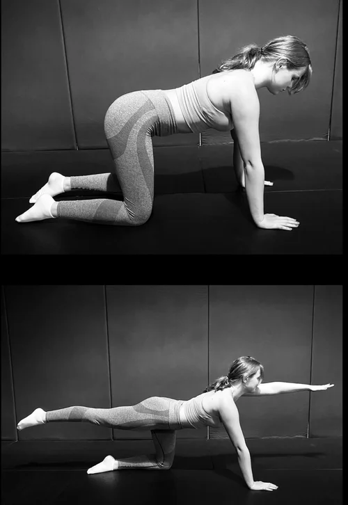 Rethinking the McGill Big 3: From Spine Sparing to Confidence Building in Low Back Pain Rehab ...