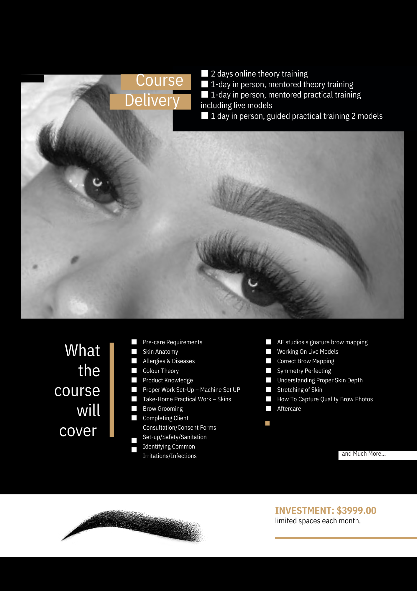 PIXEL PERFECT POWDER BROWS COURSE — AE STUDIO