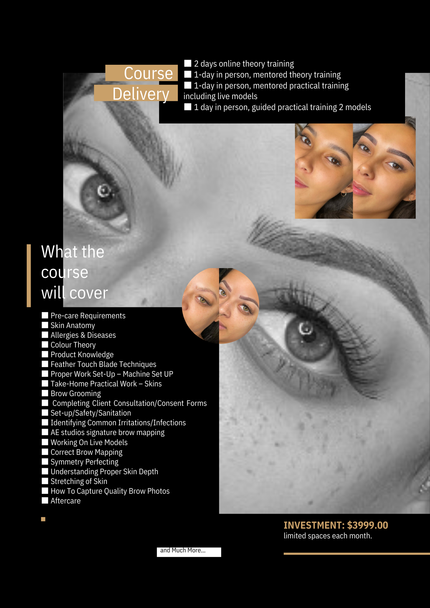 PIXEL PERFECT POWDER BROWS COURSE — AE STUDIO