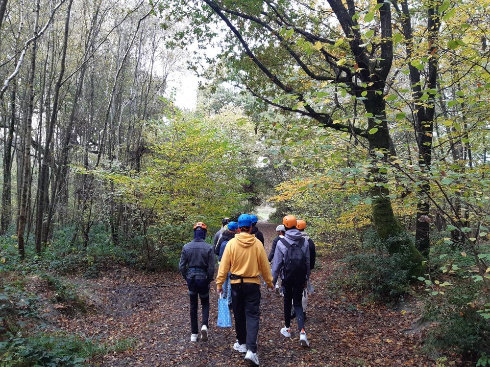 What we do — Young Roots