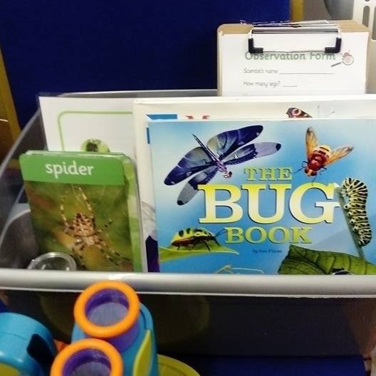 National Insect Week 2023 — GrowingTogether
