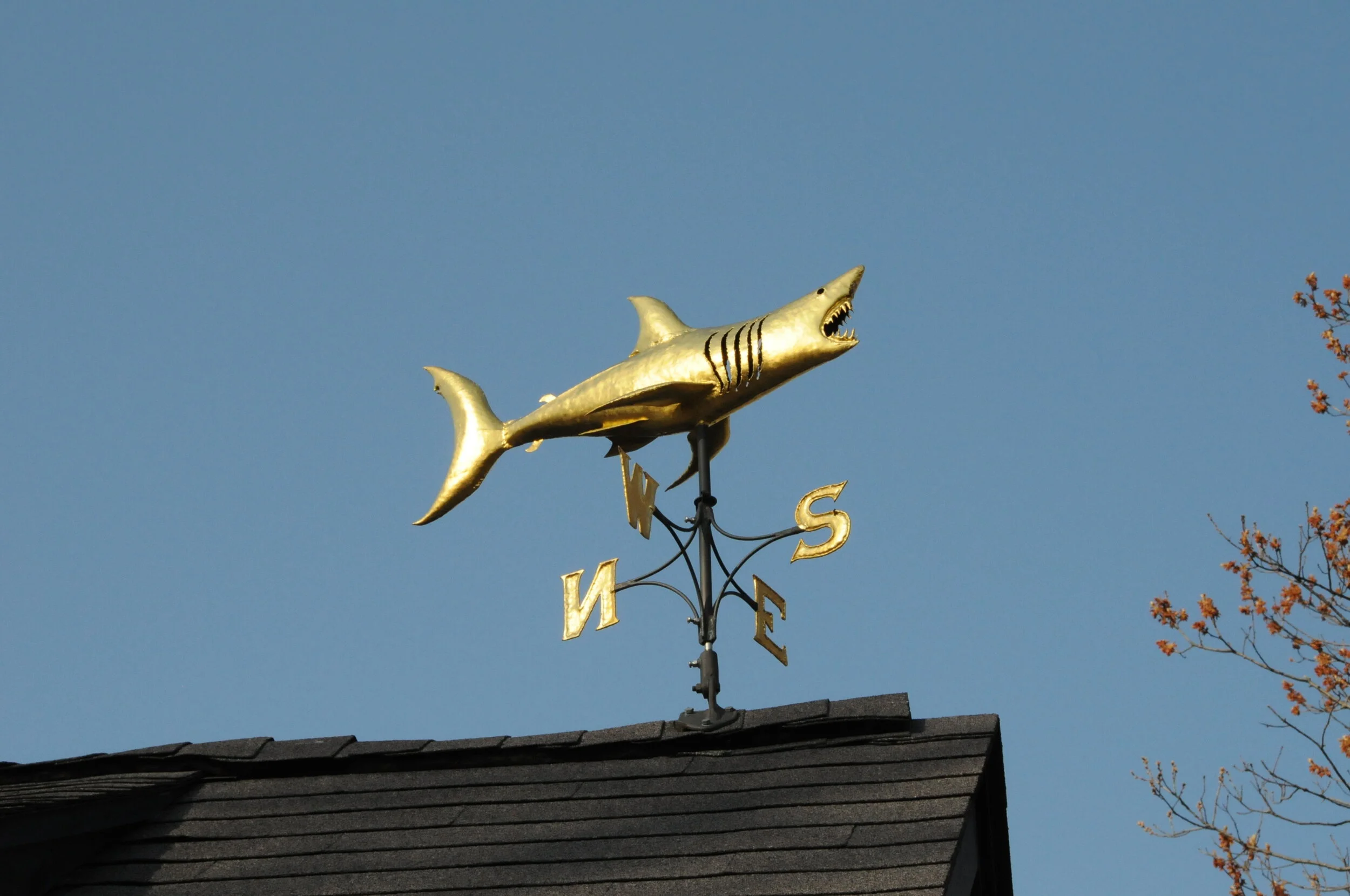 JAWS Shark | Tuck & Holand Metal Sculptors