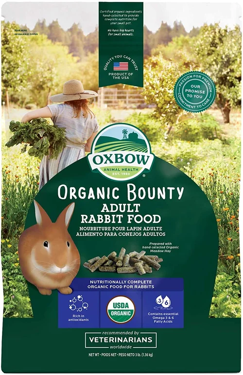 Rabbit Care | Enhance Your Bunny Care Today — Breadbox Farm
