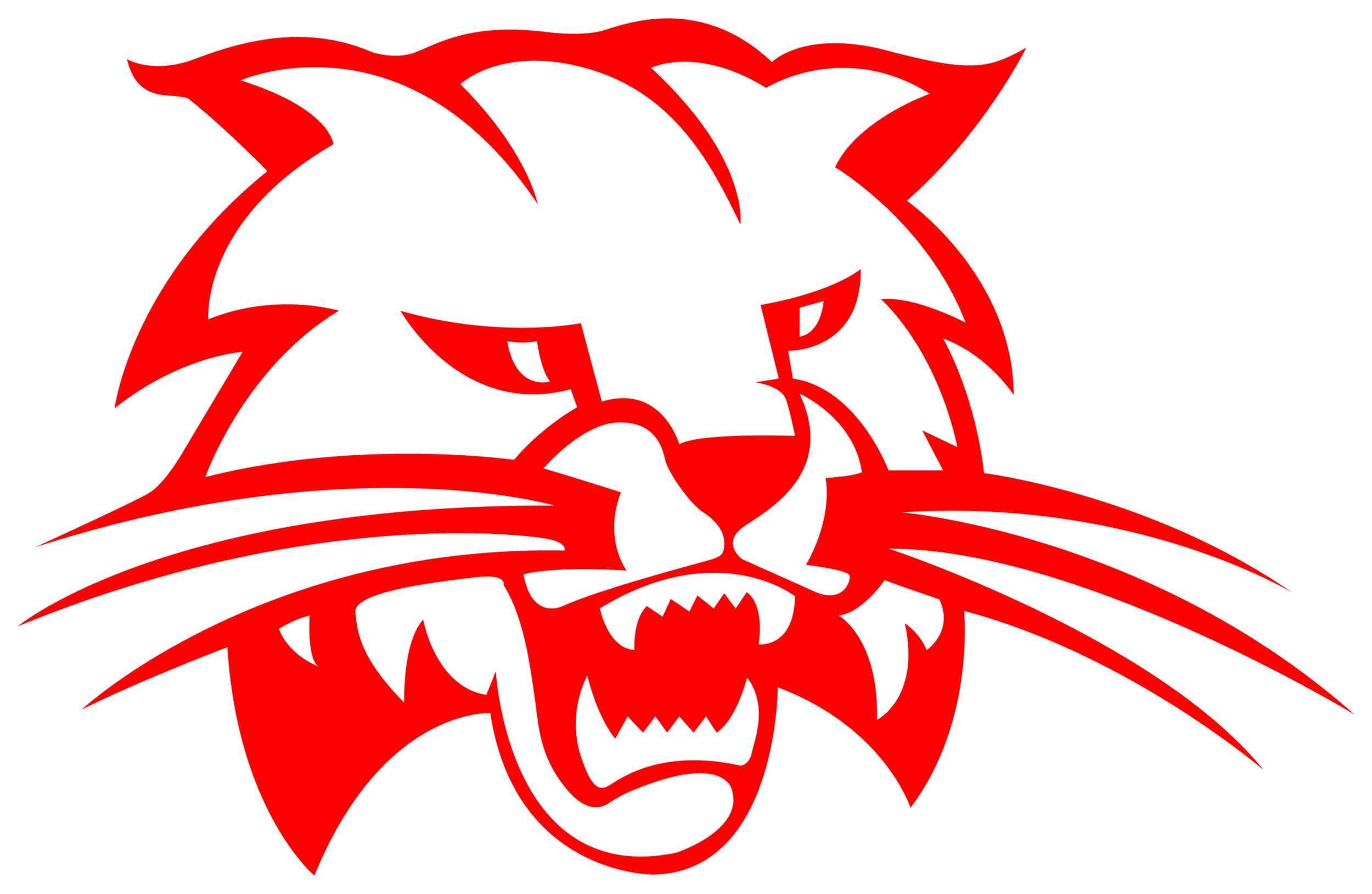 Wildcat Logo High School Musical