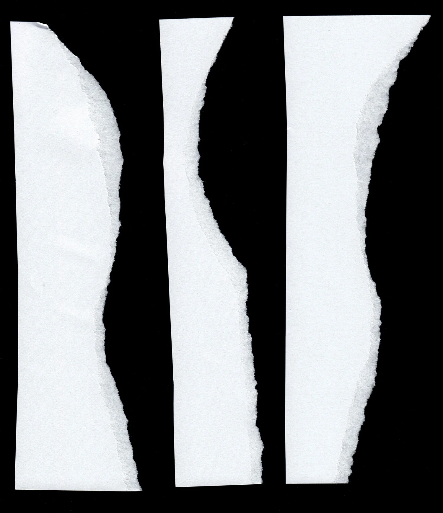 Understanding Long Grain & Short Grain in Paper & Paperboard — Paxert LLP