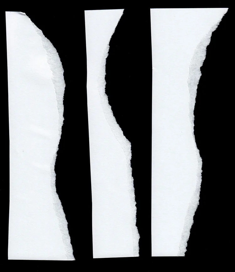 Understanding Long Grain & Short Grain in Paper & Paperboard — Paxert LLP