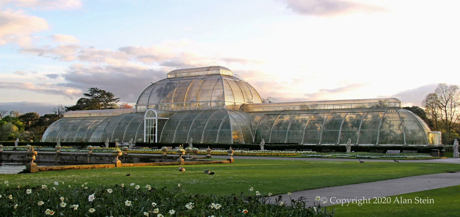 The Palm House — Conservatory Heritage Society