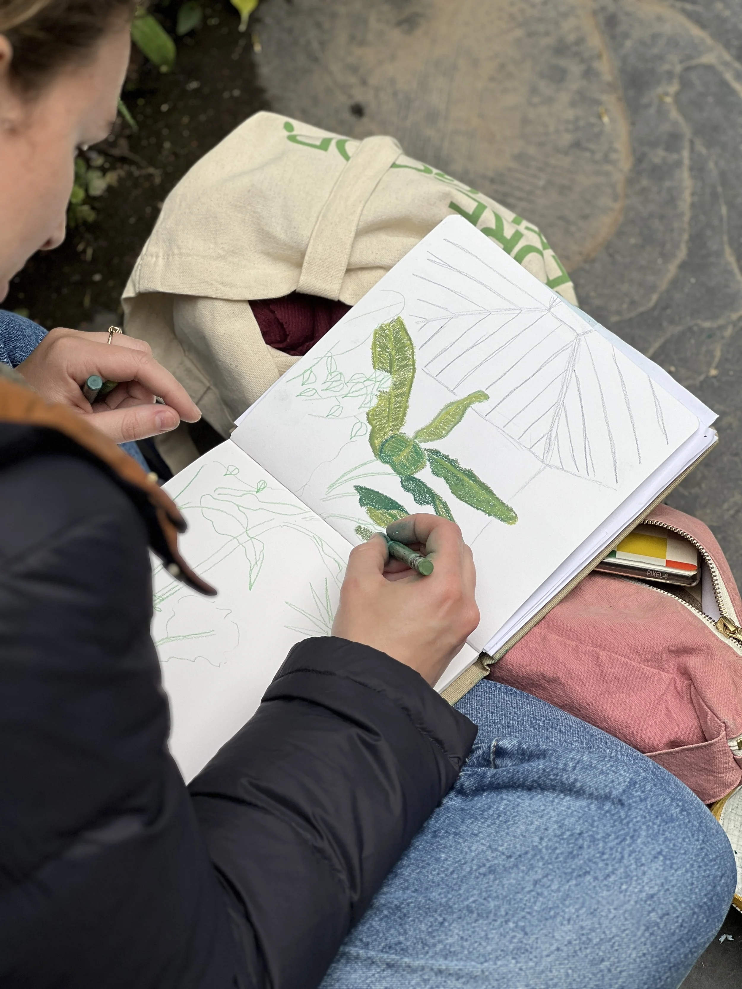 Stage Pastel — Beya Rebaï