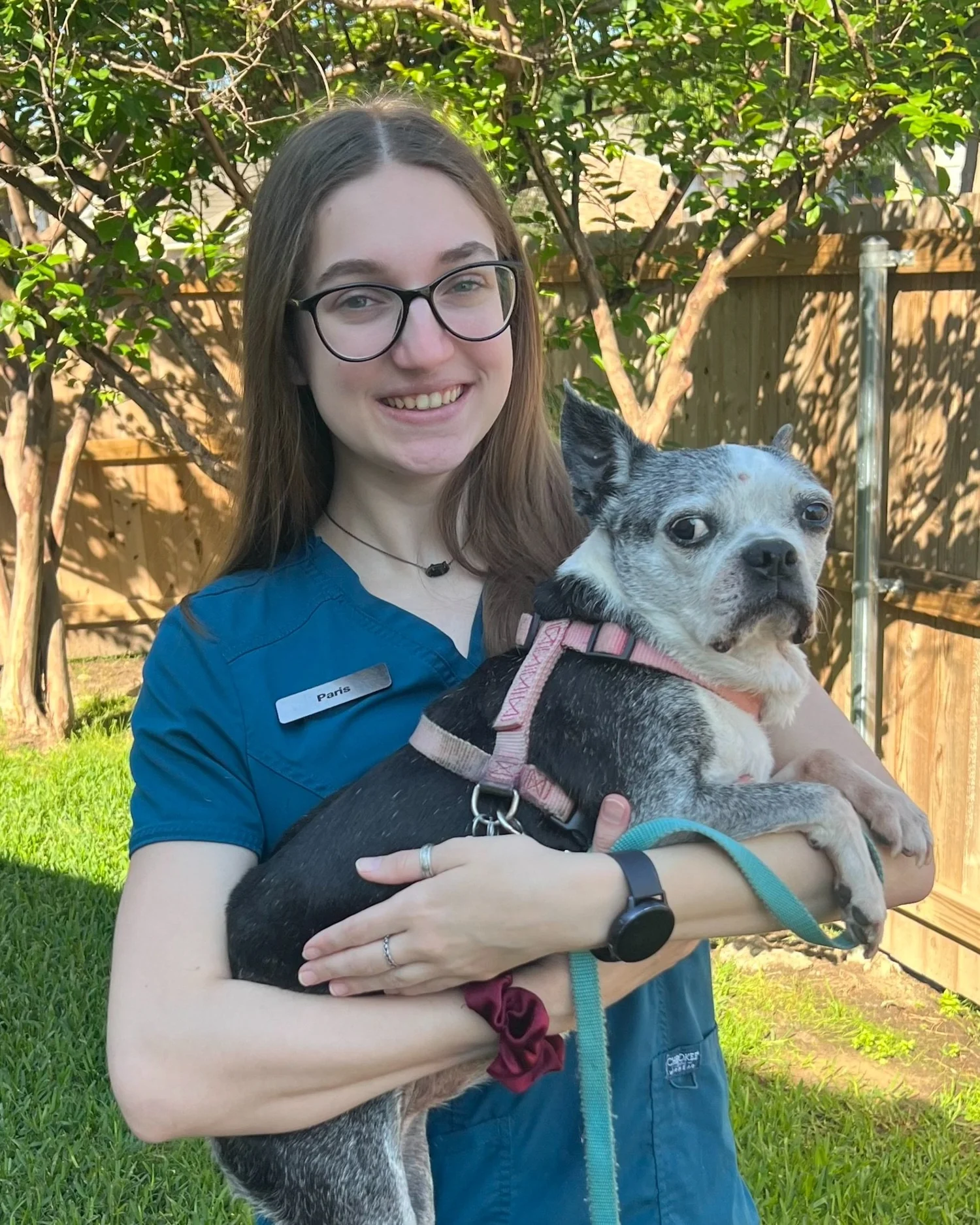 Our Team — Van Stavern Small Animal Hospital