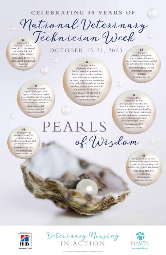 Happy Tech Week! — Van Stavern Small Animal Hospital