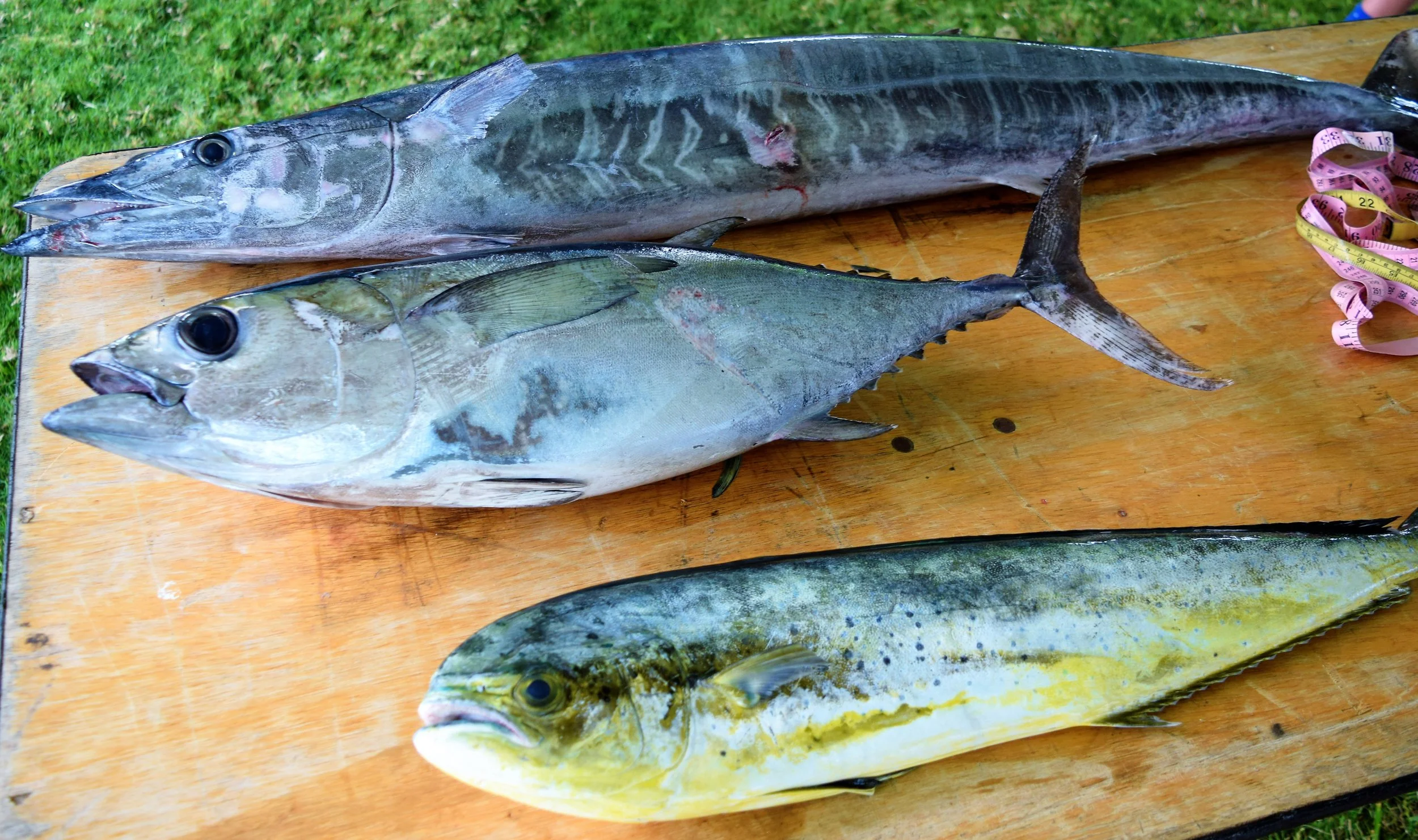 Our Story — SPI Wahoo Classic