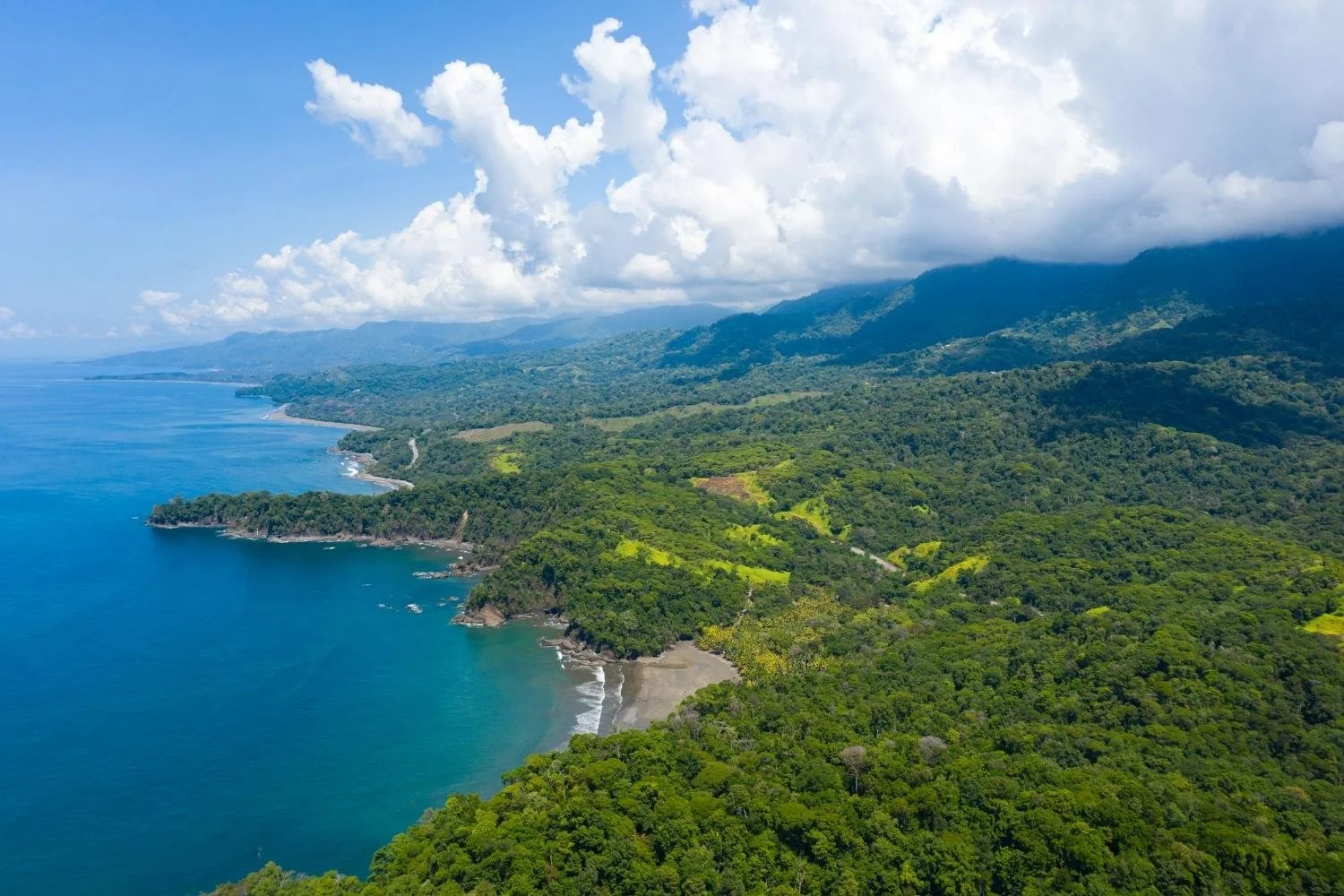 Costa Rica's South Pacific Coast: 8 Things to Do on the Costa Ballena ...
