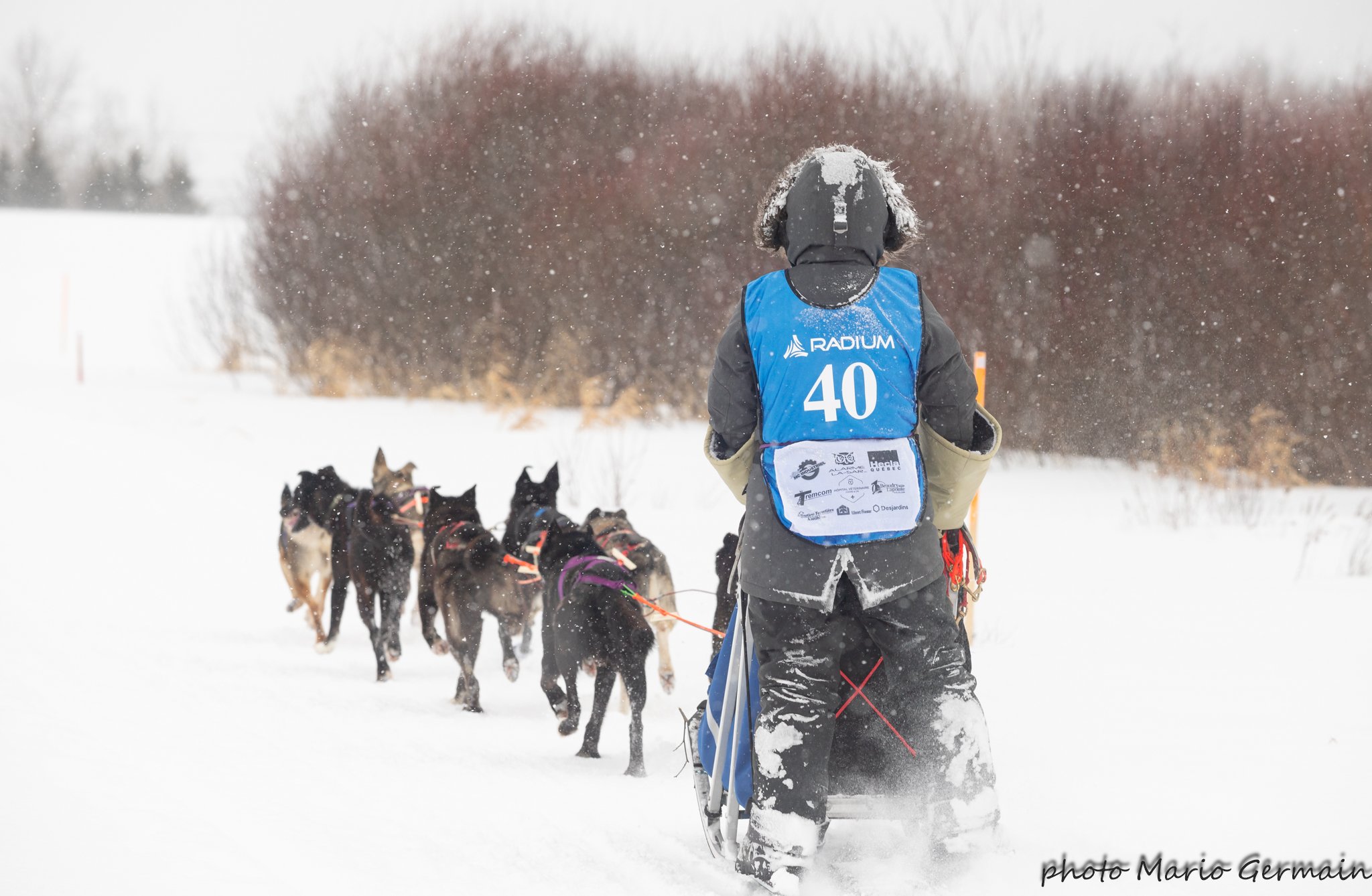 Mushers et athlètes canins du Québec