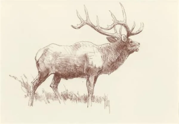 Gallery 1 — The Art of the Animal