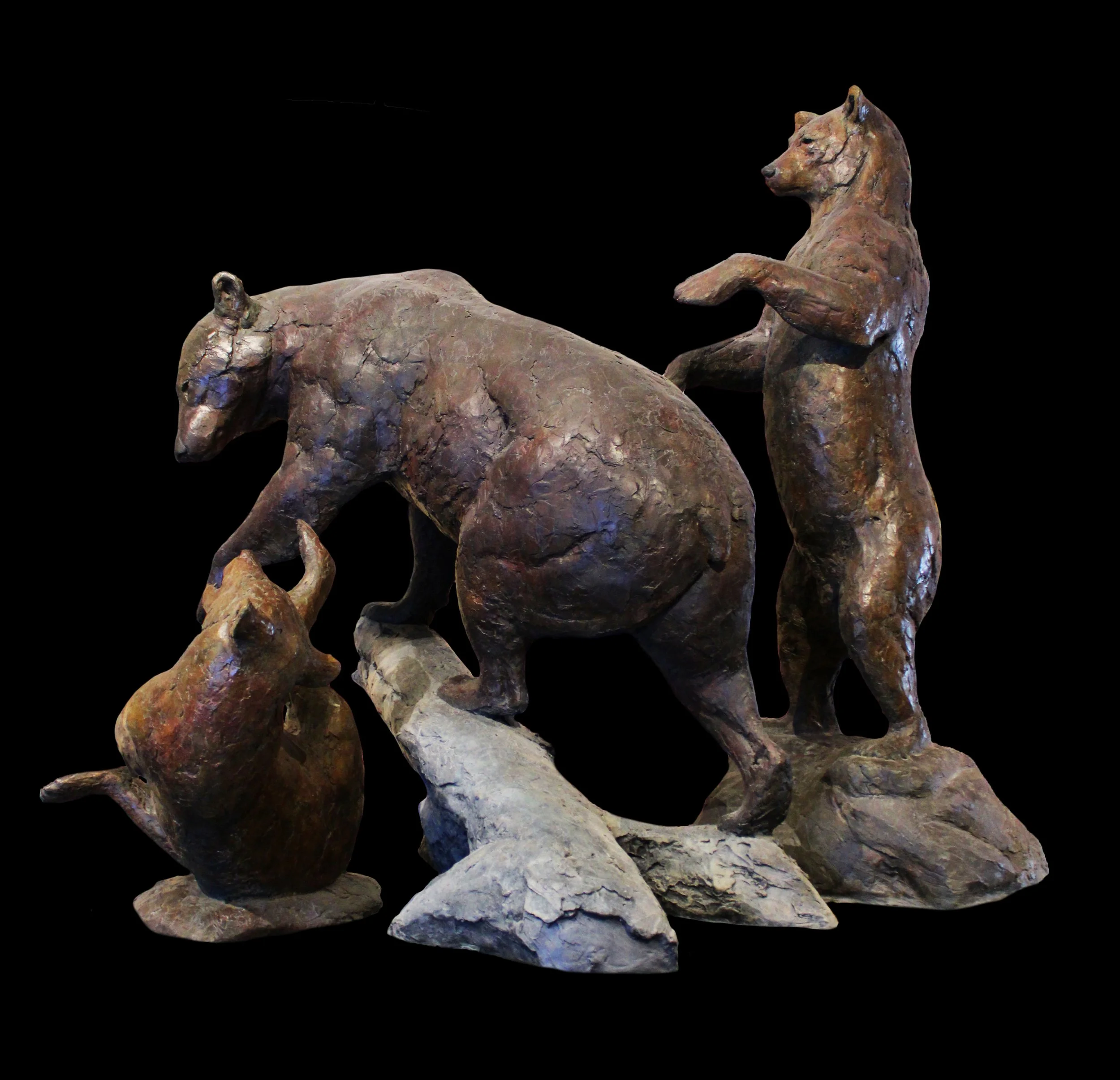 Domestic Disturbance — The Art of the Animal