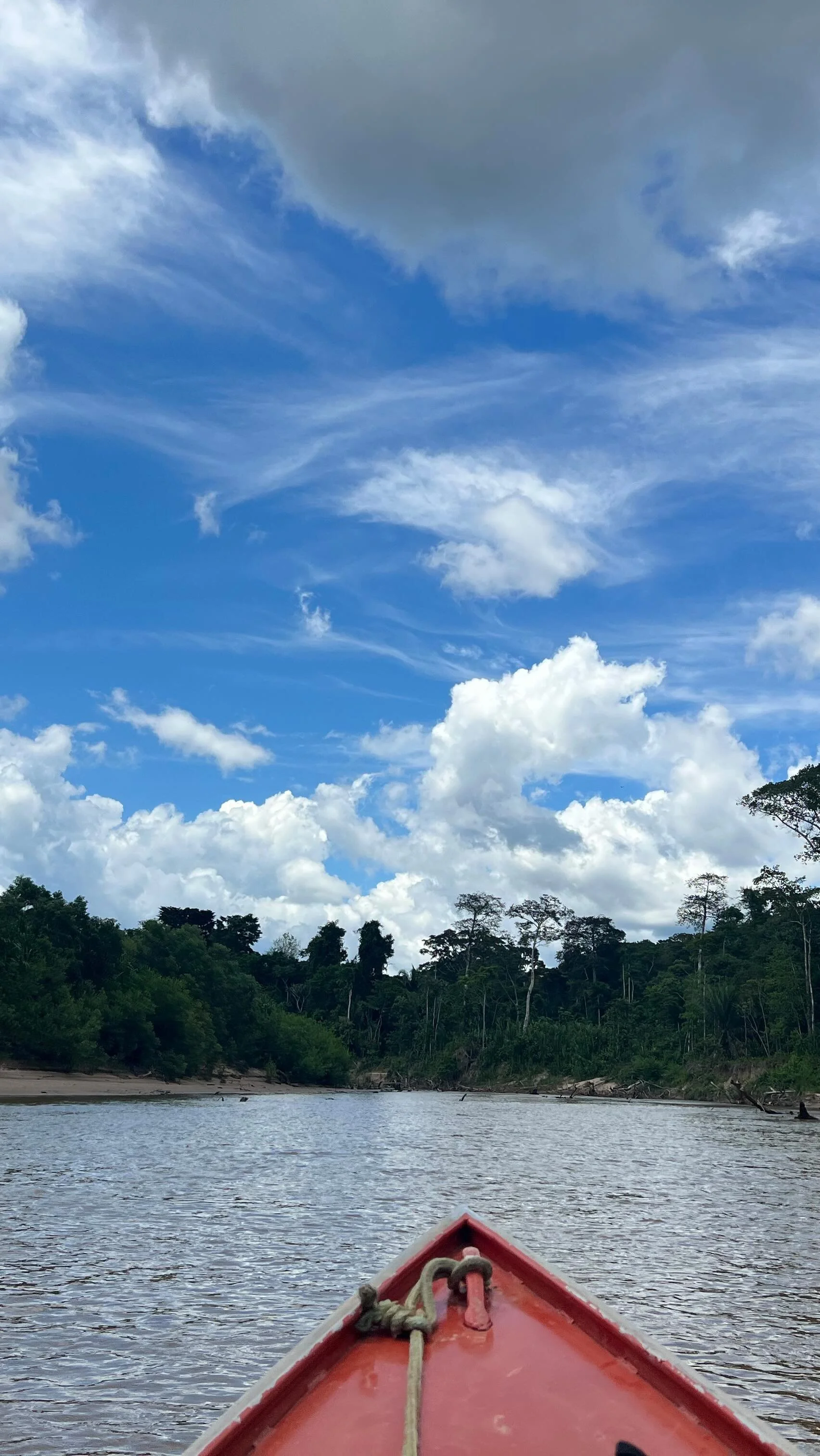 Georgina Miranda- Leadership, Transformation, and Mindfulness Expert ...