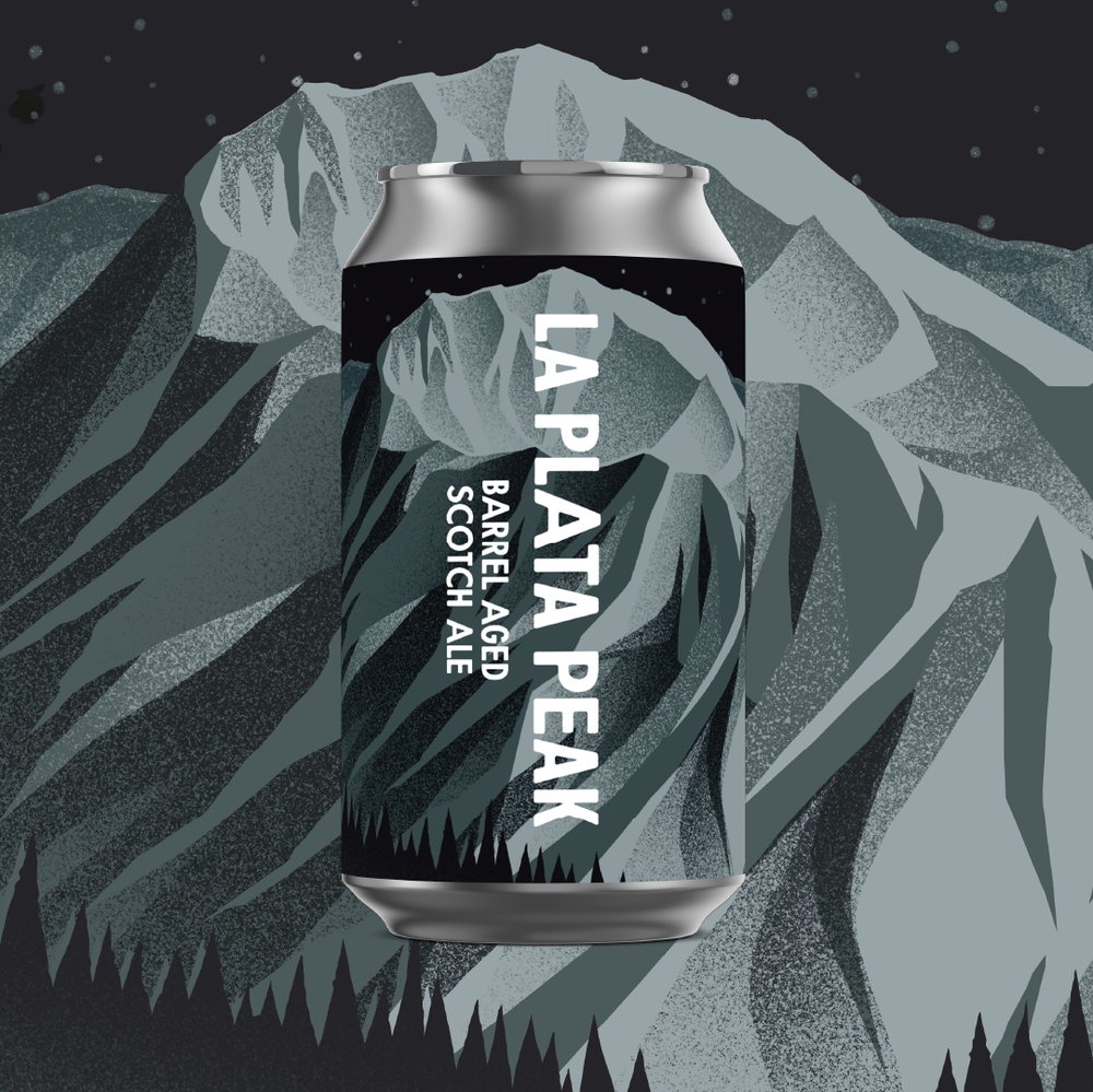 Shop BBCO Beers — Born Brewing Co.