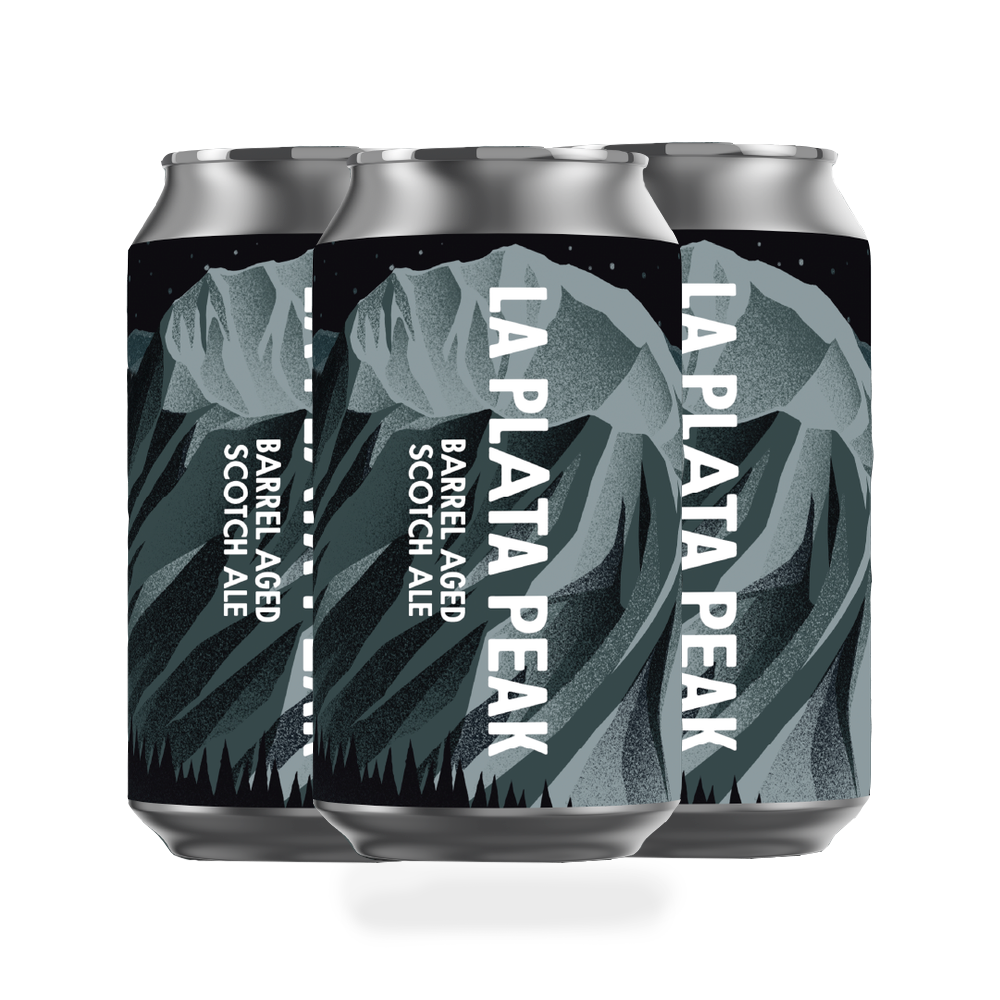 Shop BBCO Beers — Born Brewing Co.