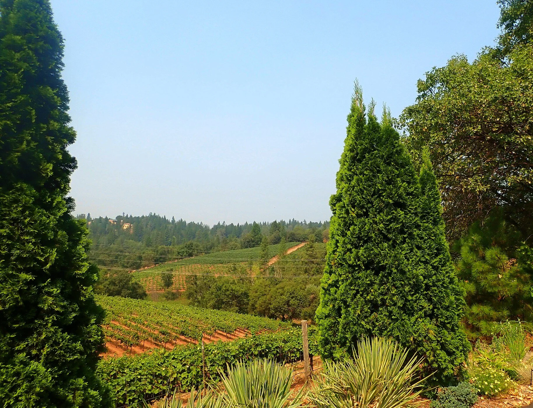 Best Local Guide To Apple Hill in Placerville, California | The ...