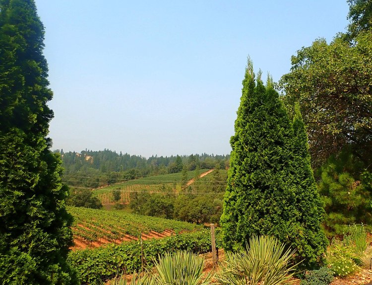 Best Local Guide To Apple Hill in Placerville, California | The ...
