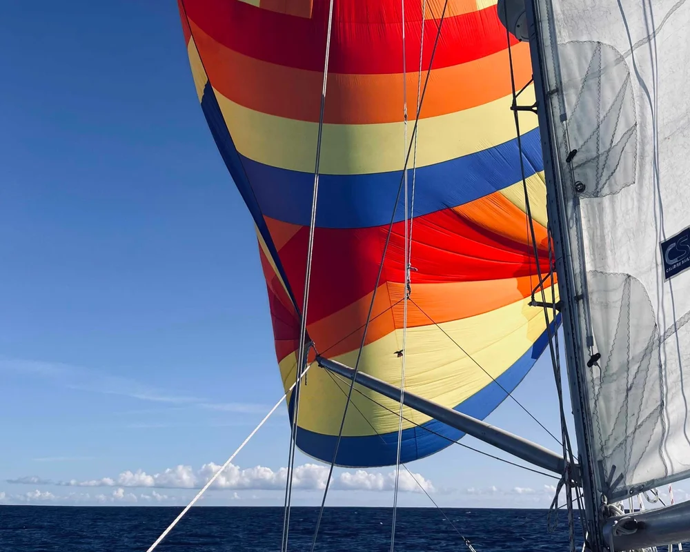 Beginner's Guide to Types of Sails