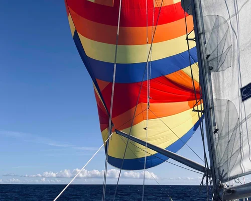 Beginner's Guide to Types of Sails