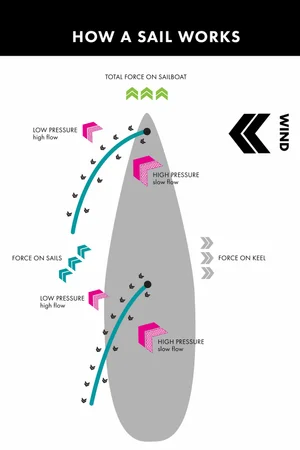 Beginner's Guide to Types of Sails