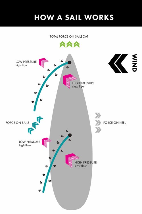 Beginner's Guide to Types of Sails