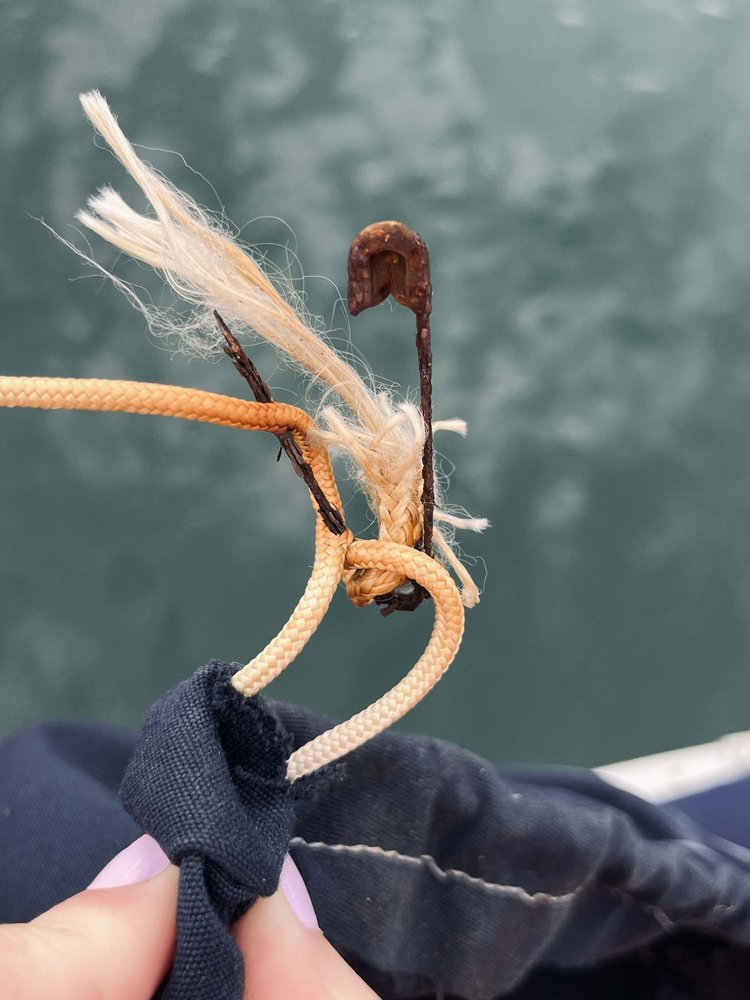 Easy Steps to Clean Your Boat with Salt-Shark Like a Pro